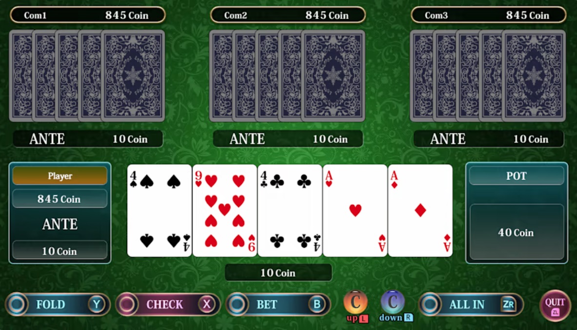 The Card: Poker, Texas Hold’em, Blackjack, and Page One for Nintendo ...
